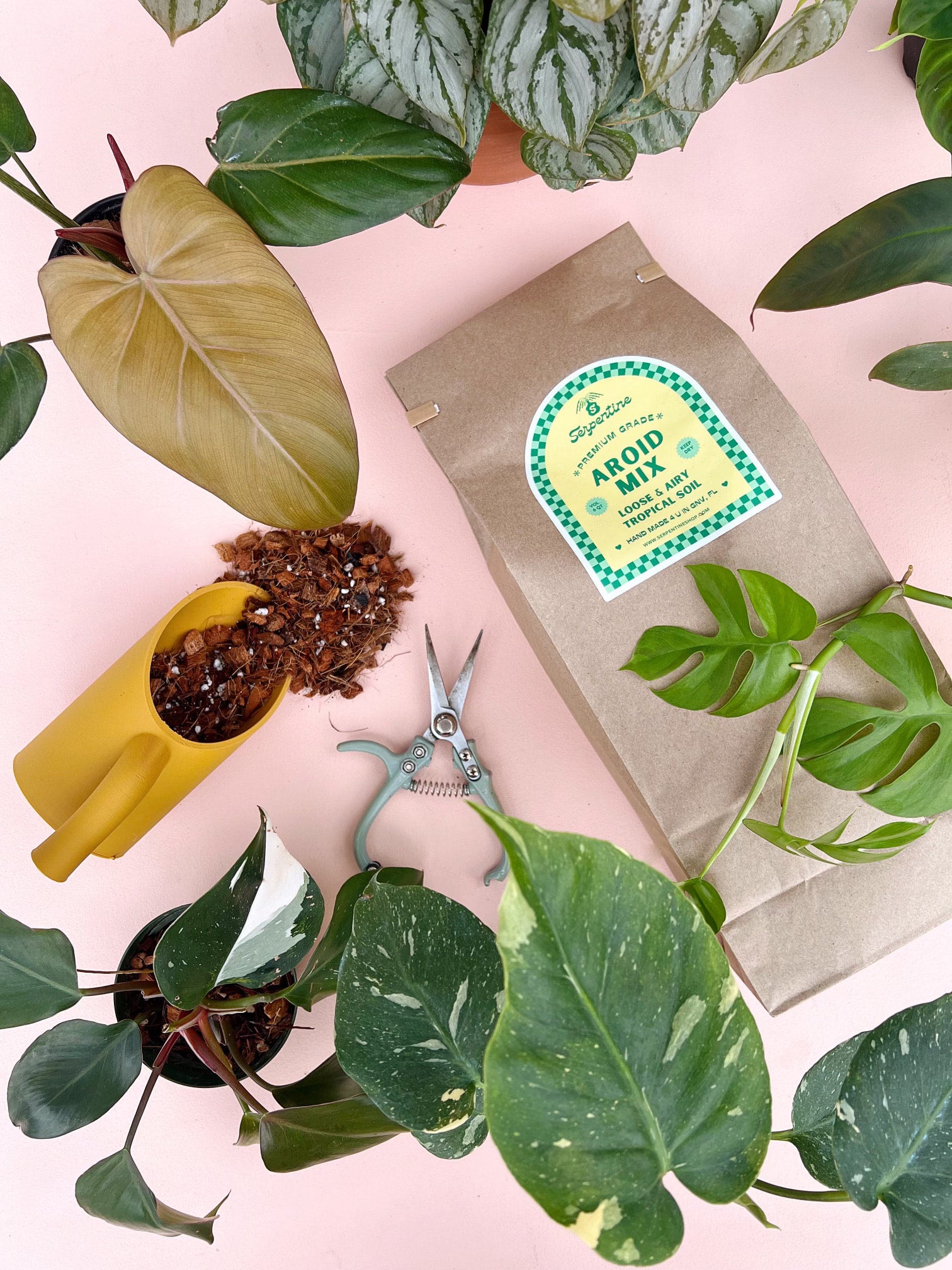 Serpentine Aroid Mix Potting Soil | Serpentine Plants + Provisions